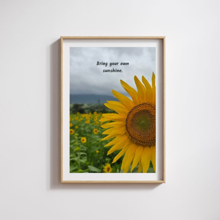 QUOTES FRAMES – STORIES IN FRAMES